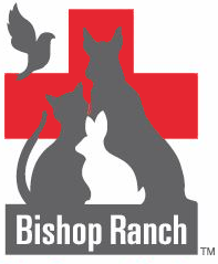 Home · Starter Portal